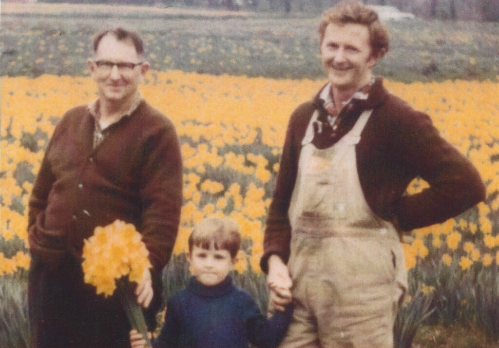 Blyth Bros daffodils and Tazettas